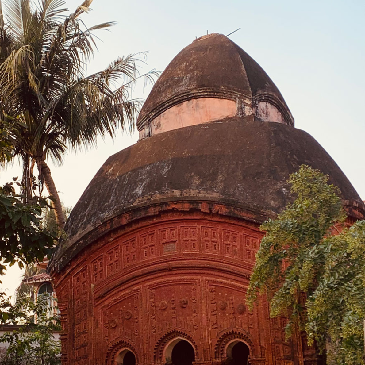 Vistas of Amadpur – Heritage Homestays