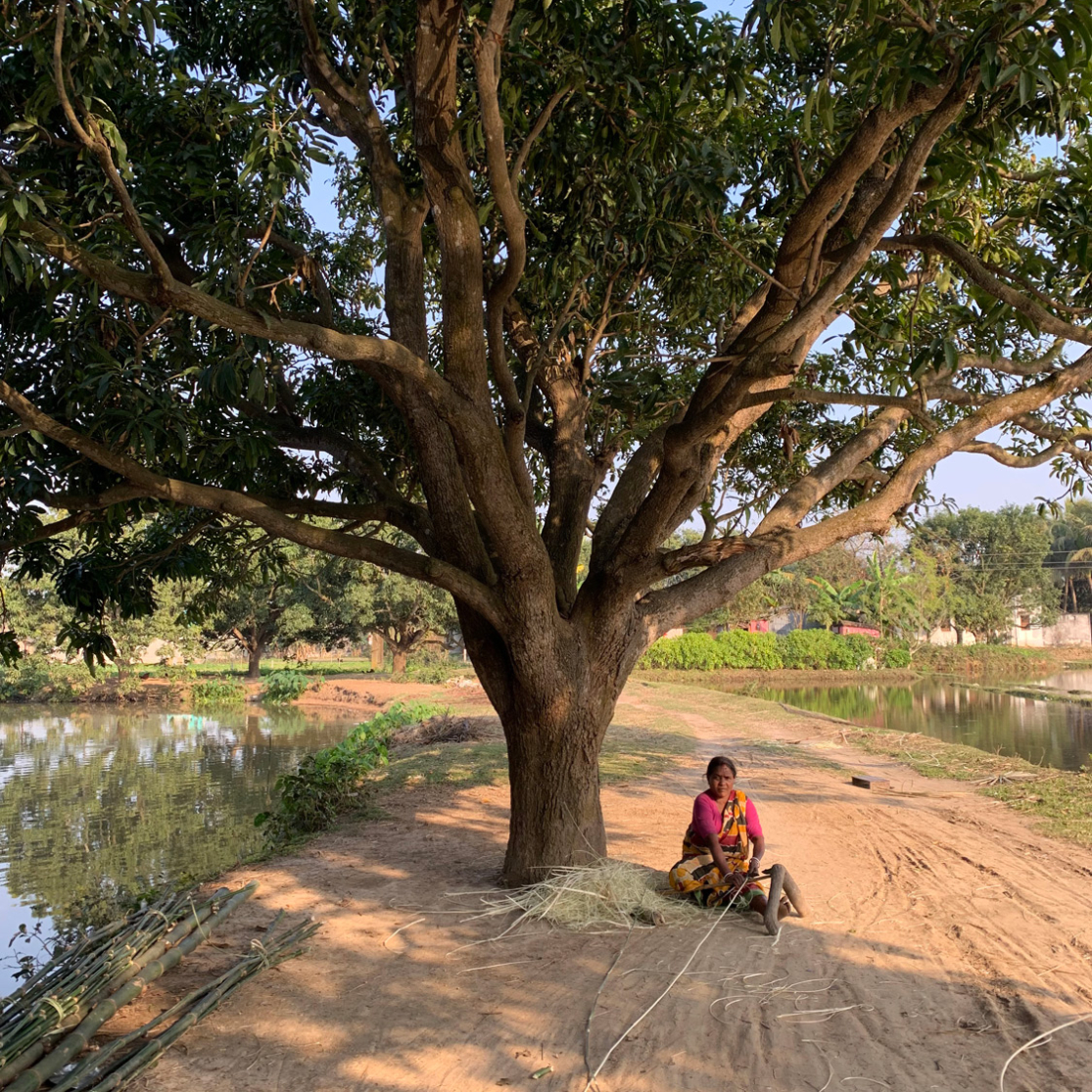 Vistas of Amadpur – Heritage Homestays